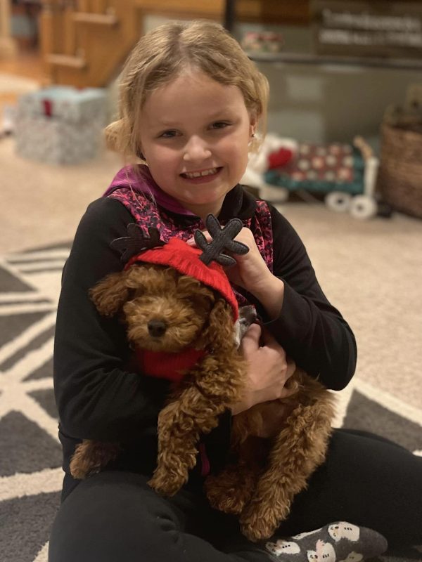 Puppy Care Package | Puppies Of Indiana Puppy Care Package | Puppies Of Indiana